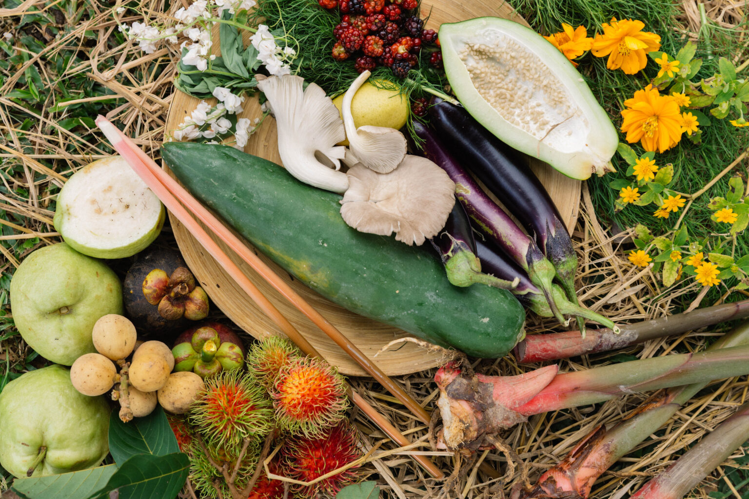 A New Partnership with Katian Farm - Aulis Phuket